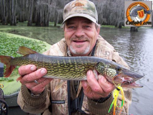 Fall at Caddo Lake - North Texas e-News