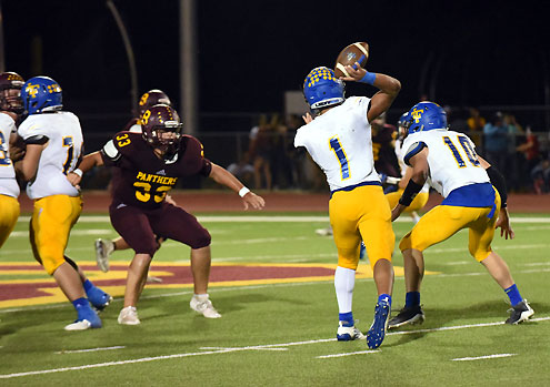 Leonard football brings home All-District 9-3A accolades - North Texas ...