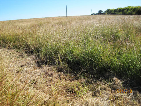 Forage bus tour of Fannin County June 29 - North Texas e-News