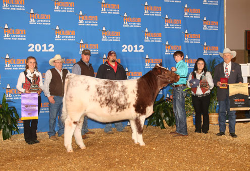 Dalton Russell of Ivanhoe wins Grand Champion Shorthorn Heifer 2012 at ...