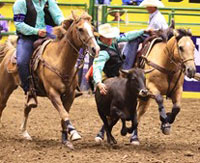 Franzen win highlights final fall rodeo - North Texas e-News