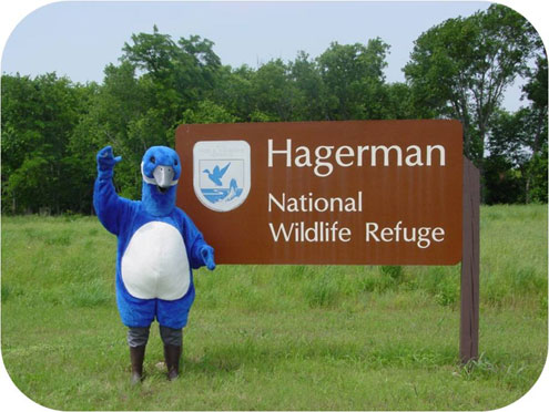 Hagerman National Wildlife Refuge celebrates National Wildlife Refuge ...