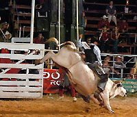 Kueckelhan Ranch Rodeo: A 55-year native Texas tradition - North Texas ...