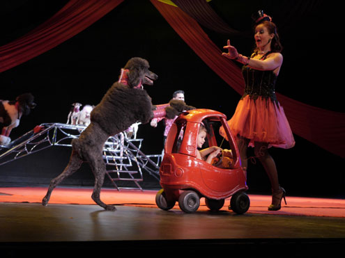 Dallas Children's Theater rings in the New Year with the ever-popular ...