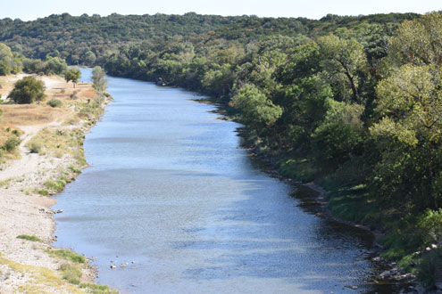 Luke welcomes rainfall from the woods - North Texas e-News
