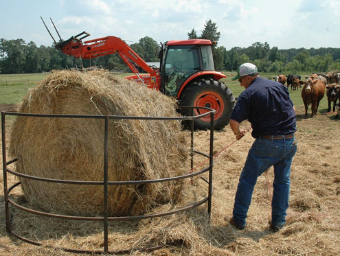 Hay producers should consider quality over quantity - North Texas e-News