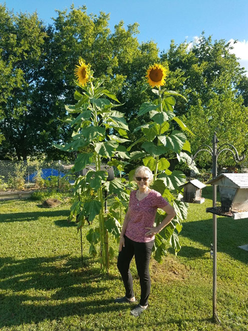 Awesome blossoms - North Texas e-News