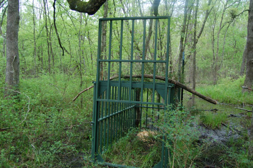 Lightweight traps make trapping hogs easy & fun - North Texas e-News