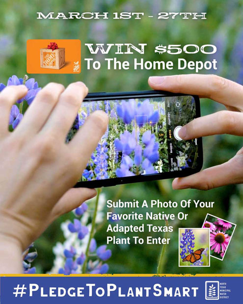 2022 Pledge To Plant Smart photo contest underway - North Texas e-News
