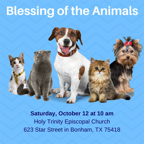 Calling all animal lovers! The Blessing of the Animals is back at Holy ...
