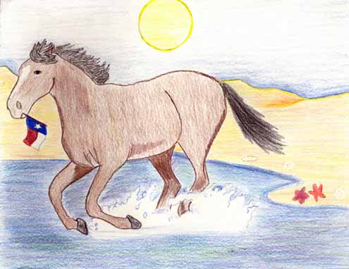 Asa Aguilar, of El Paso, wins grand prize in the General Land Office's ...