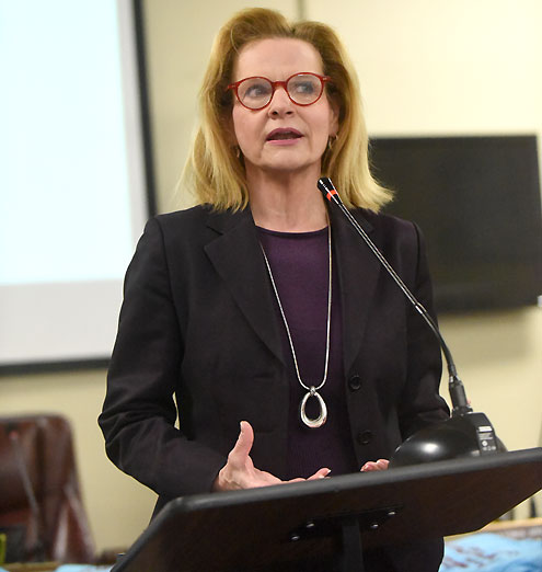 Okay to Say™, Meadows Mental Health Policy Institute’s campaign for ...