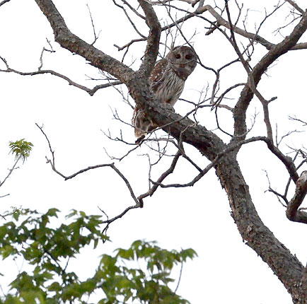 Hagerman National Wildlife Refuge celebrates National Wildlife Refuge ...