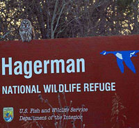 KXII meteorologist Wava Denito featured at Hagerman National Wildlife ...
