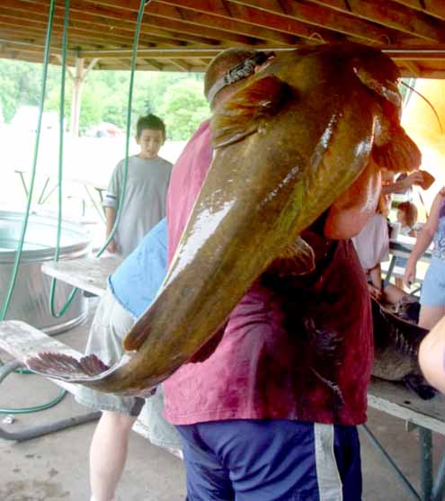 Noodling contest, Johnston County Museum worth drive to Tishomingo ...