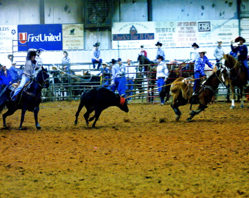 Texoma Junior Rodeo Association next rodeo set Jan. 19 north of Bonham ...